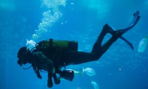 Comment devenir moniteur de plongée - MaFormation