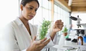 Comment devenir botaniste - MaFormation