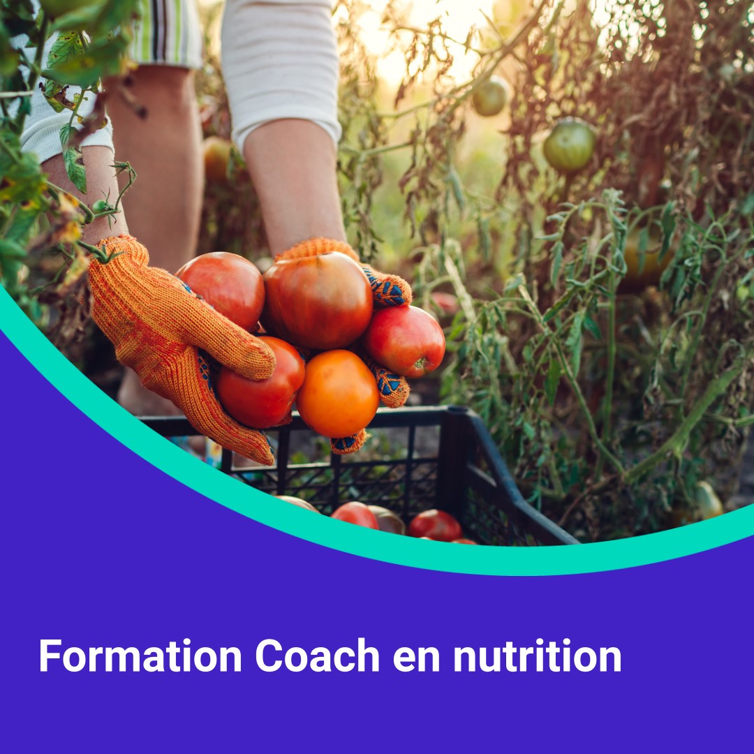 Offre de Formation Formation Coach en nutrition avec YouSchool ...
